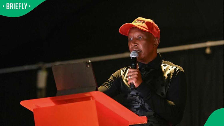 Julius Malema questions Helen Zille’s bid for Johannesburg mayoral post ...