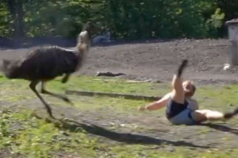 Edinburgh Cold War nuclear bunker volunteer alleges they were attacked ...