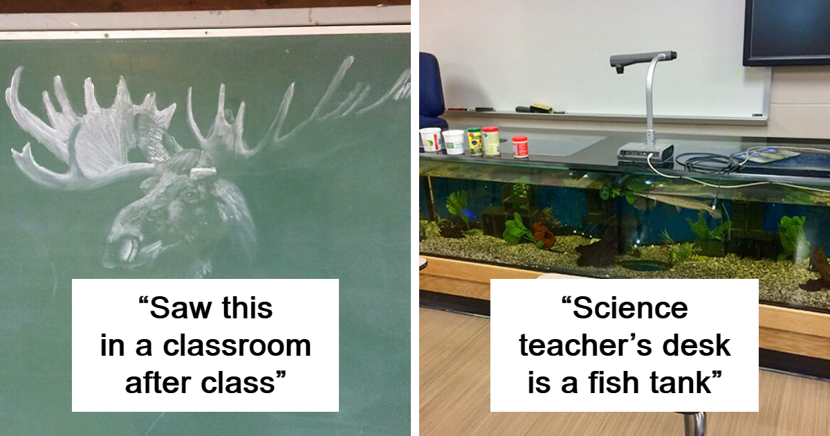 50 ingenious things students have spotted at their schools and ...