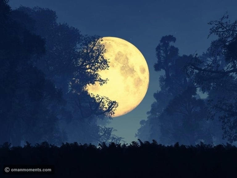 Today's moon mood: Saturday, January 31, 2026