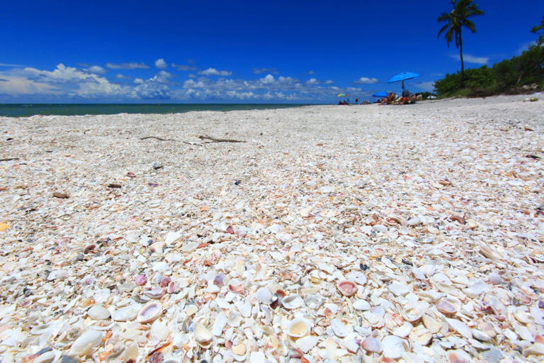 These 15 Florida beaches are too beautiful to skip on your next getaway