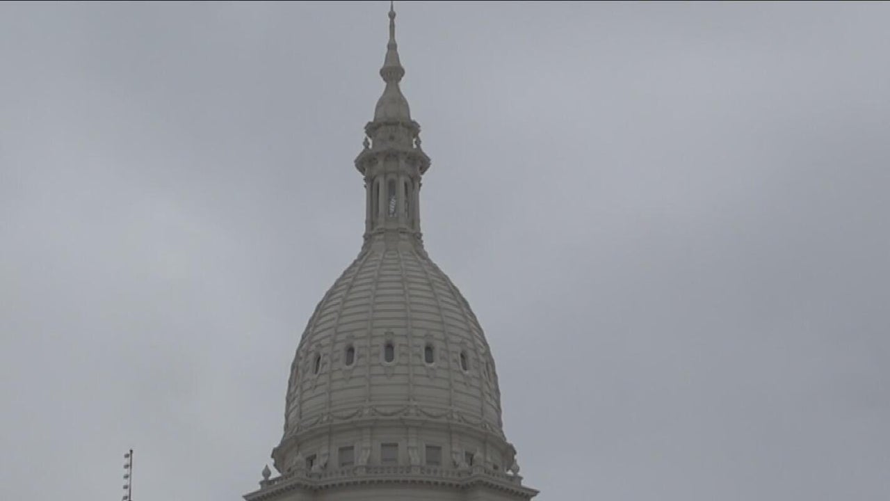 4 Michigan Democrats among lawmakers in Minnesota