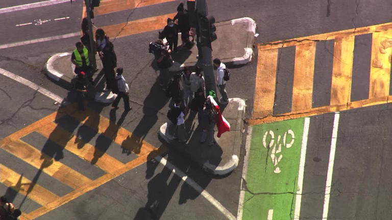 Thousands march in anti-ICE protests across Bay Area