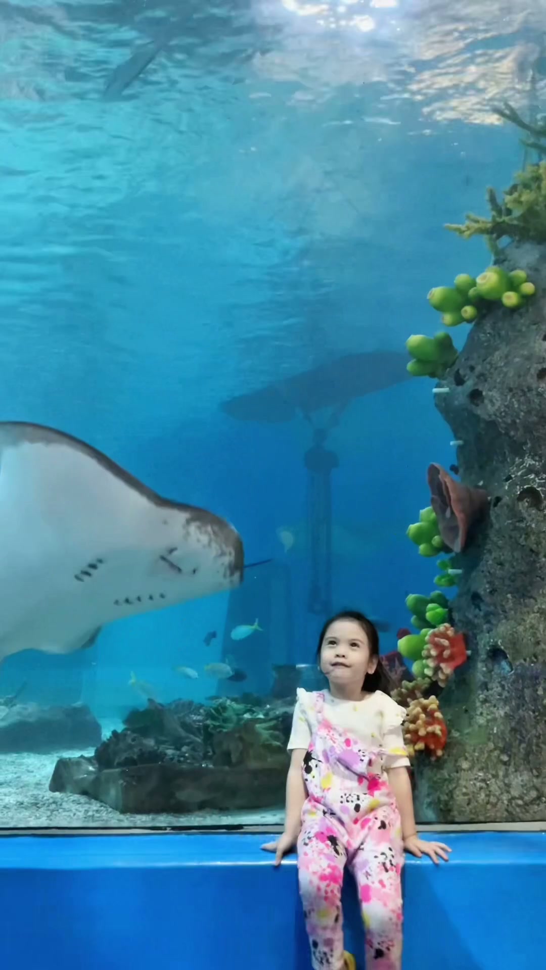 Adorable aquarium adventure with stingrays and kids
