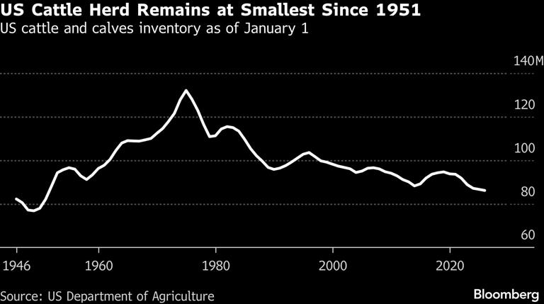 US cattle herd stays at 75-year low, keeping beef prices high