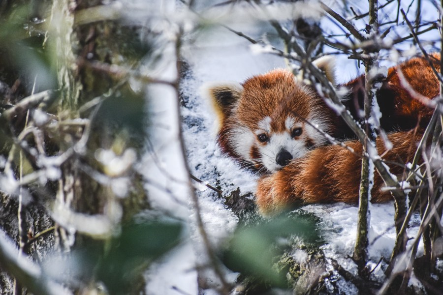 Hazardous weather leads to closures across Hampton Roads