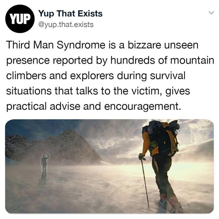 “Yup that exists”: 47 weird but very real things, as shared on this ...
