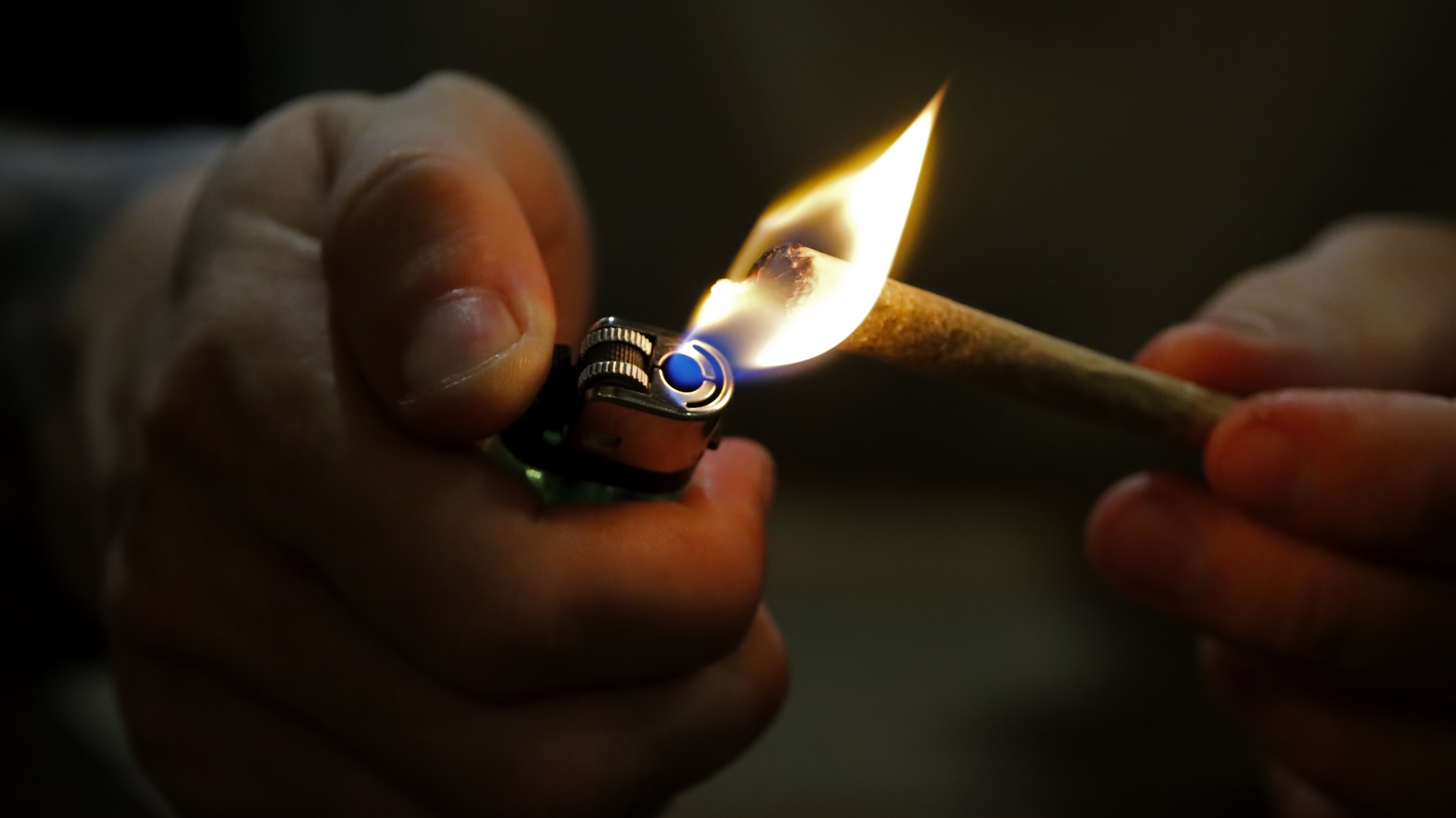 Feds propose path to gun ownership for some cannabis users