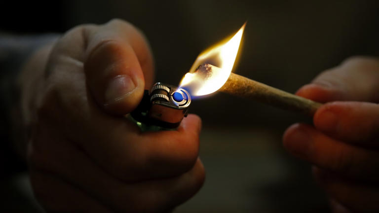 Feds propose path to gun ownership for some cannabis users
