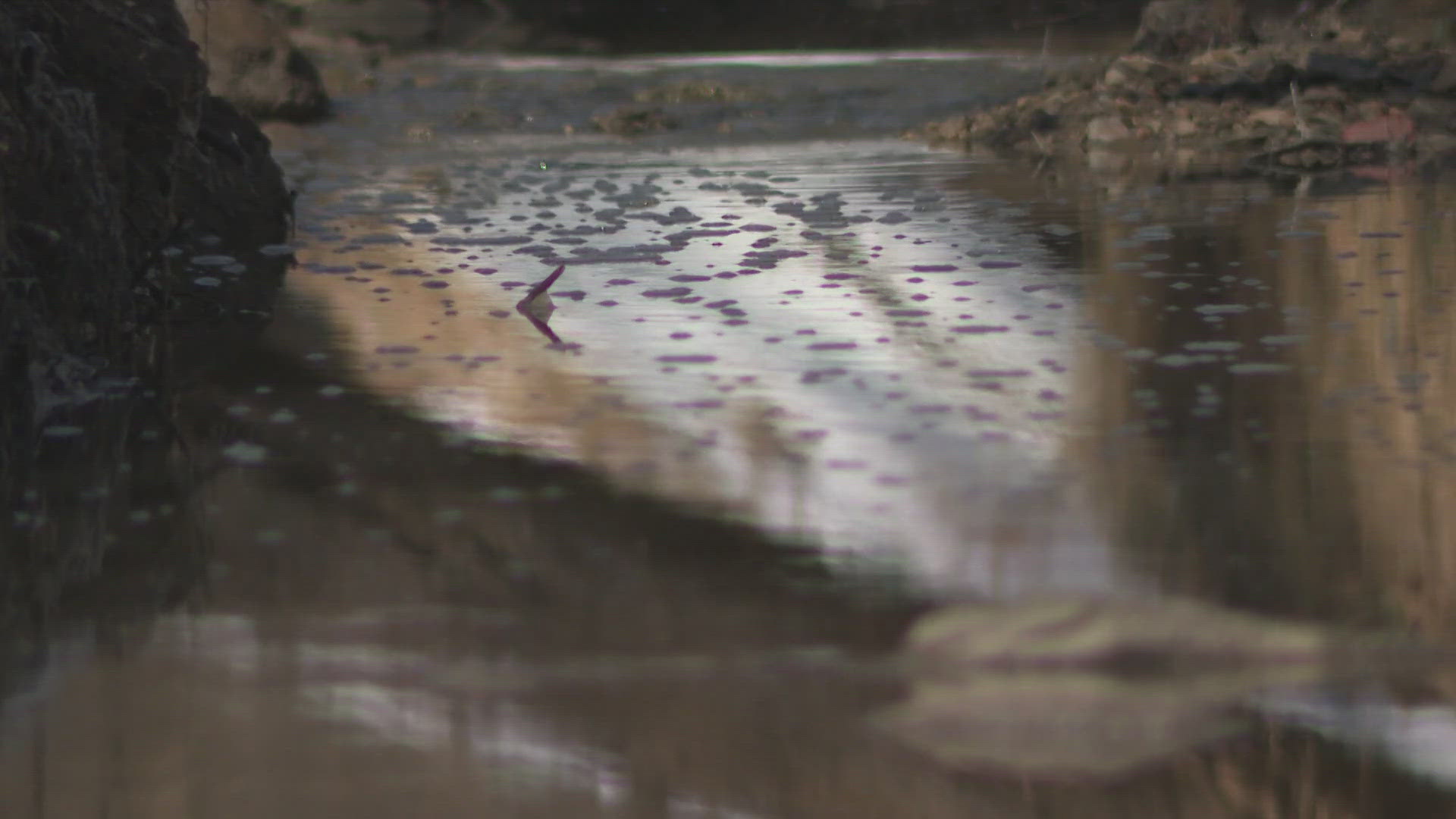Potomac sewage spill has stopped, DC Water says