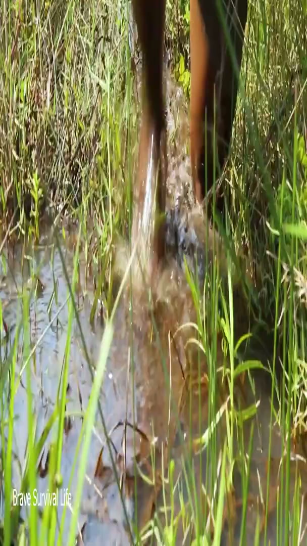 Explore the fascinating construction of a remarkable jungle house and ...