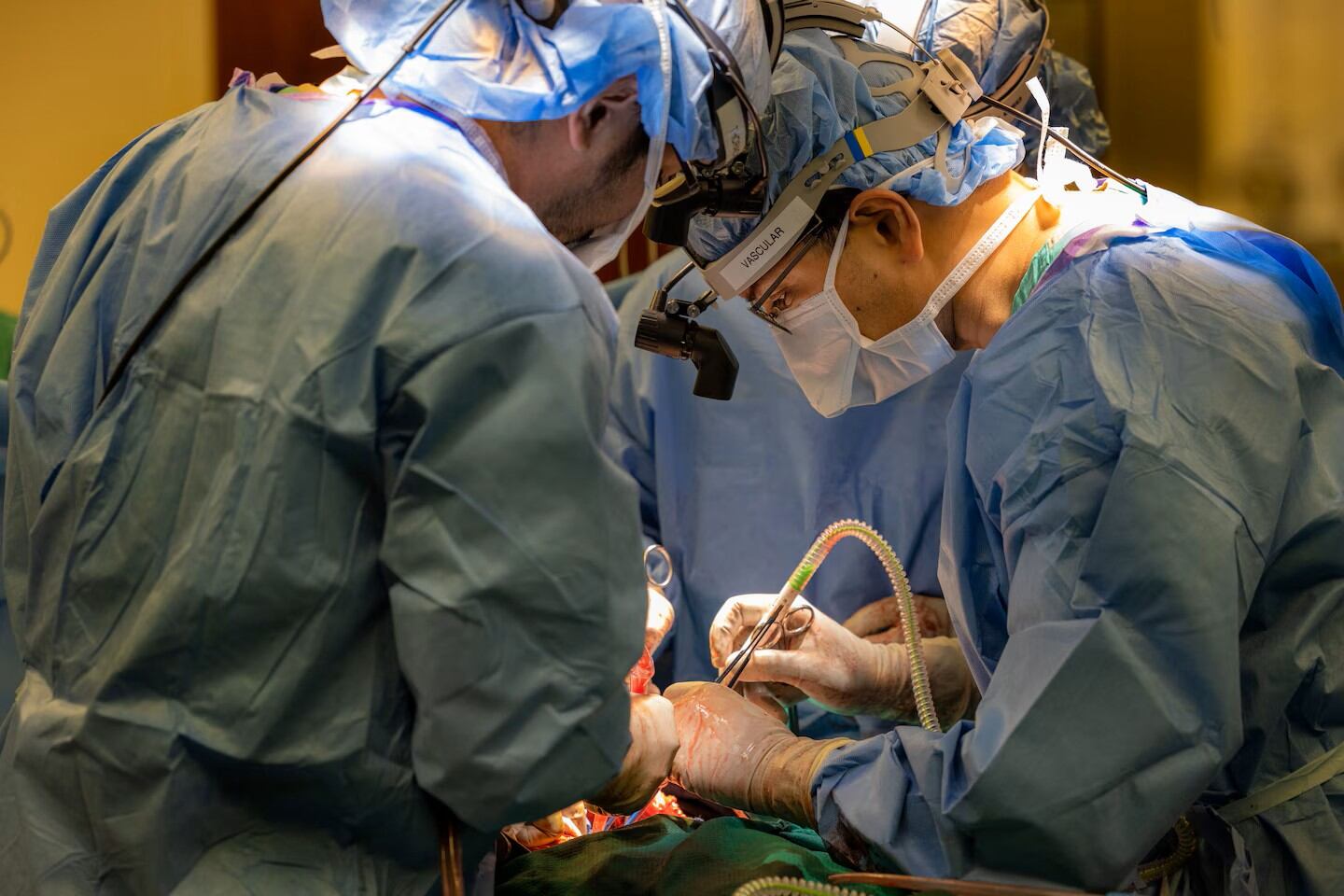 Patient survives 48 hours without lungs, thanks to artificial lung