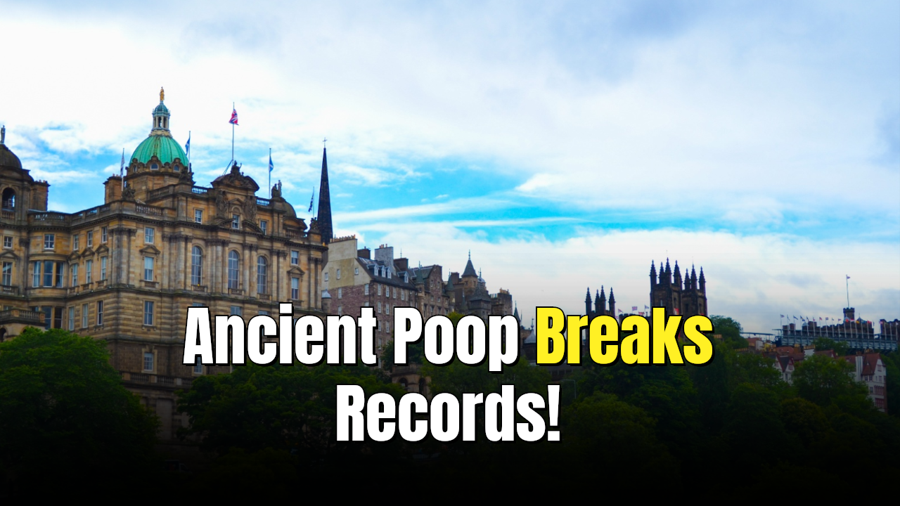The world’s largest human poop is a 1200-year-old Viking treasure