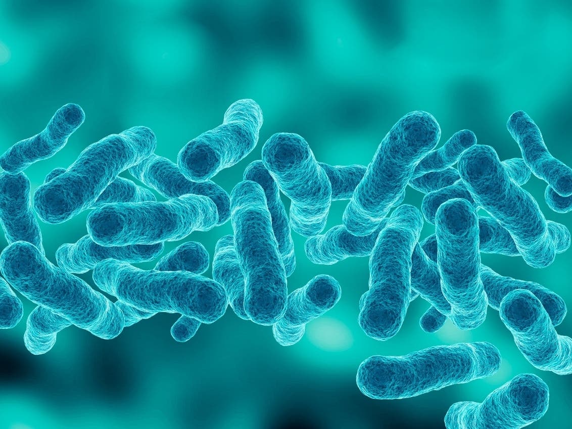 Tuberculosis Outbreak At Bay Area School Prompts Class Cancelations: Report