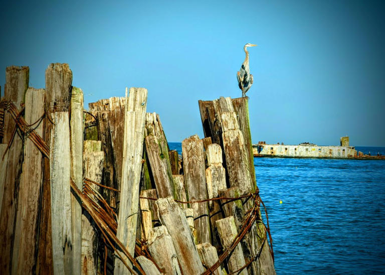 Big ol’ fish: Jan. 23, 2026