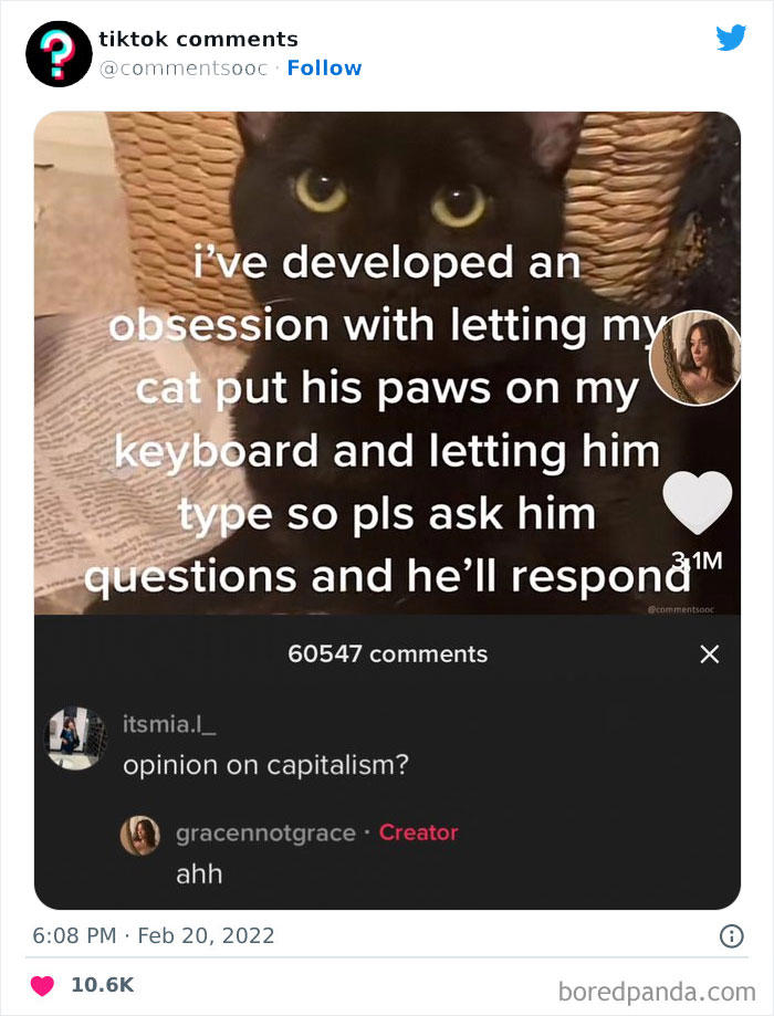 25 weird, funny, and totally unhinged TikTok comments that will make ...