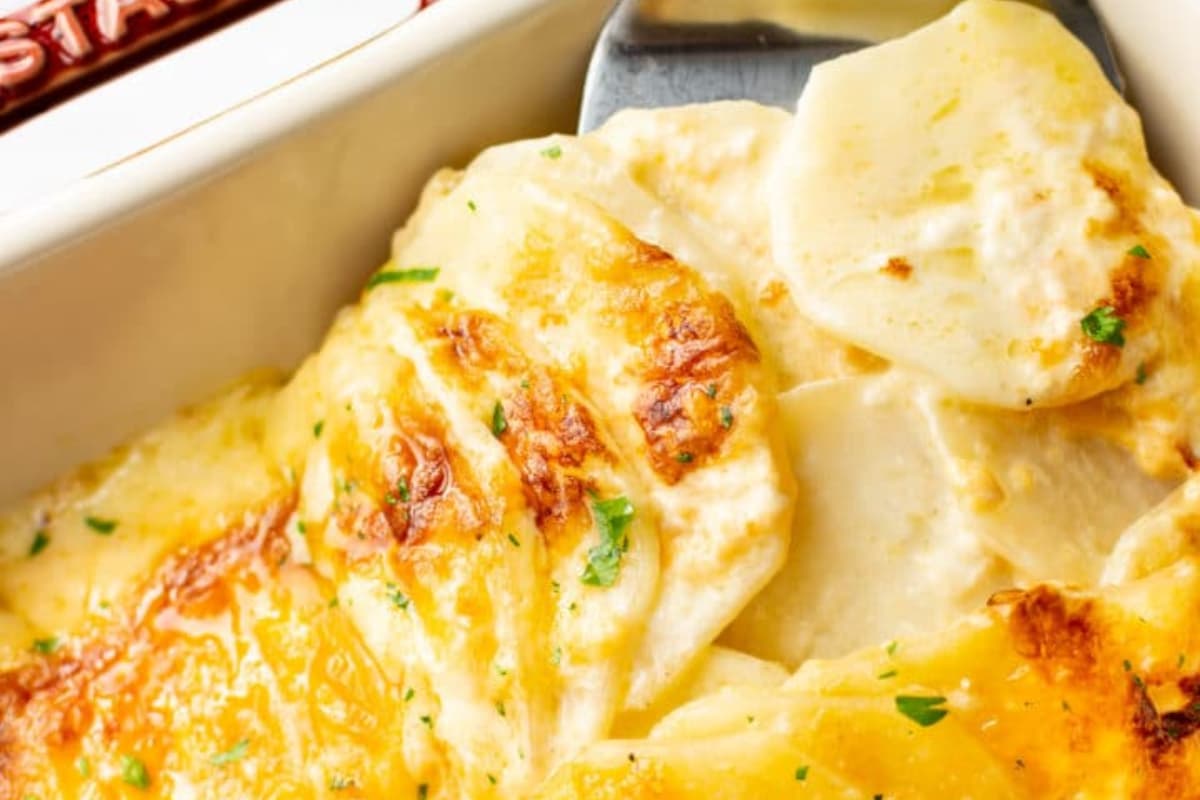 24 recipes that let cheese do all the talking