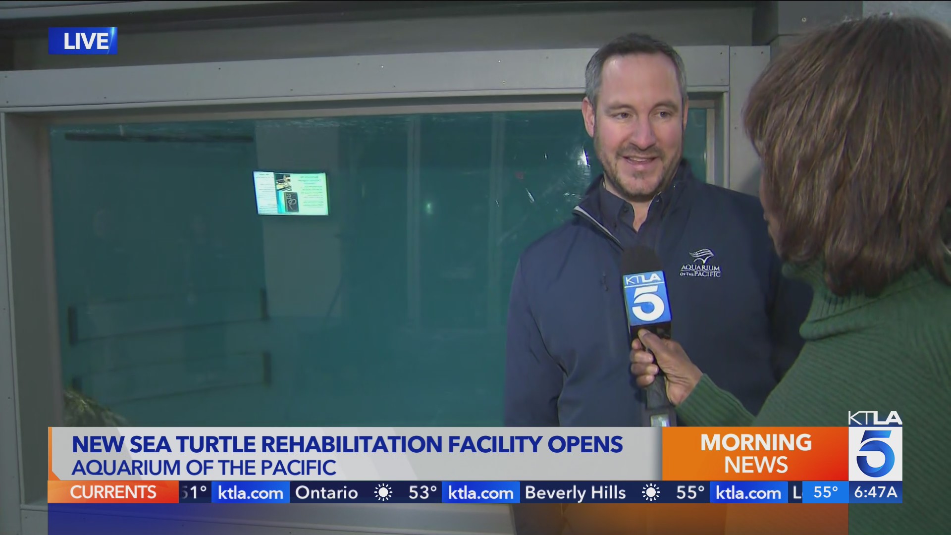 New sea turtle rehabilitation area is now open at the Aquarium of the ...
