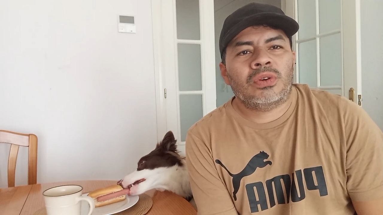 Dog sneaks away with breakfast while owner is distracted in Mascarat ...