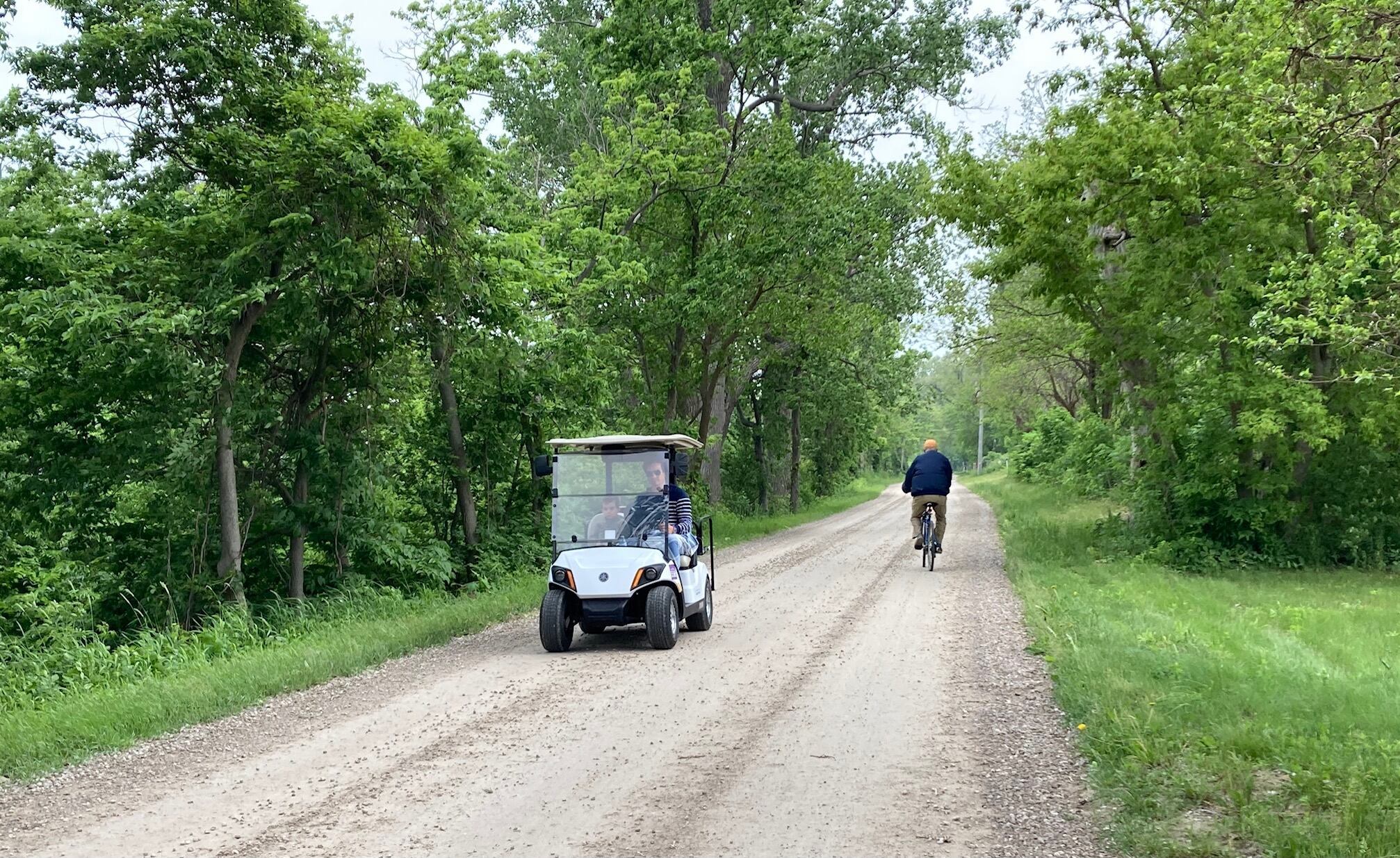 Avon Lake considers regulating golf carts as street use increases
