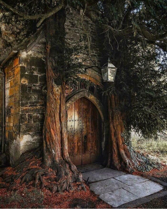 Things that seem straight out of a fairytale: 40 of the most bewitching ...