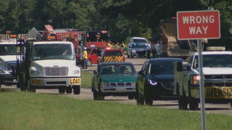 Florida to require all driver's license exams in English only starting ...