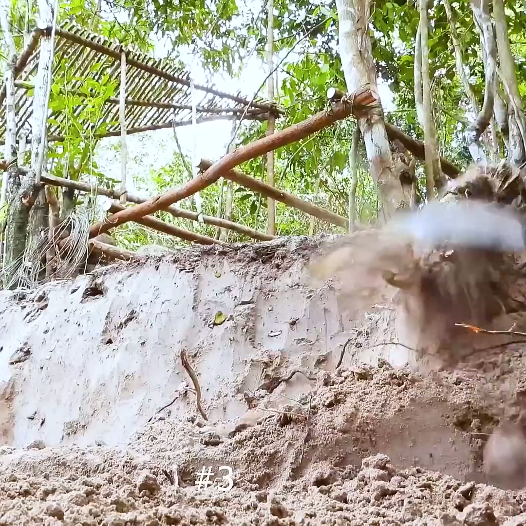 From dirt to dream house in the wild!