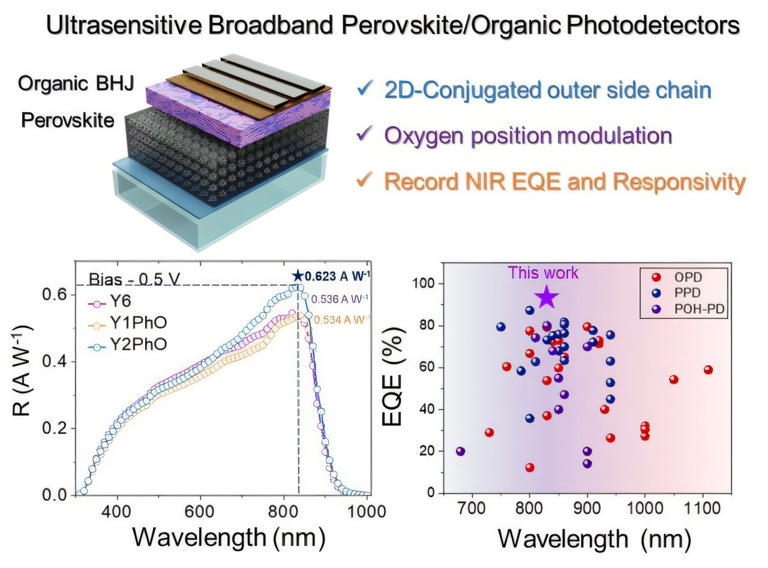 New study unveils ultra-high sensitivity broadband flexible photodetectors