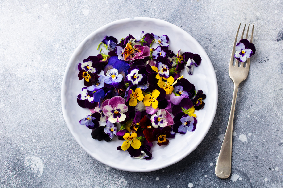 4 beautiful edible flowers that are easy to grow at home, according to ...
