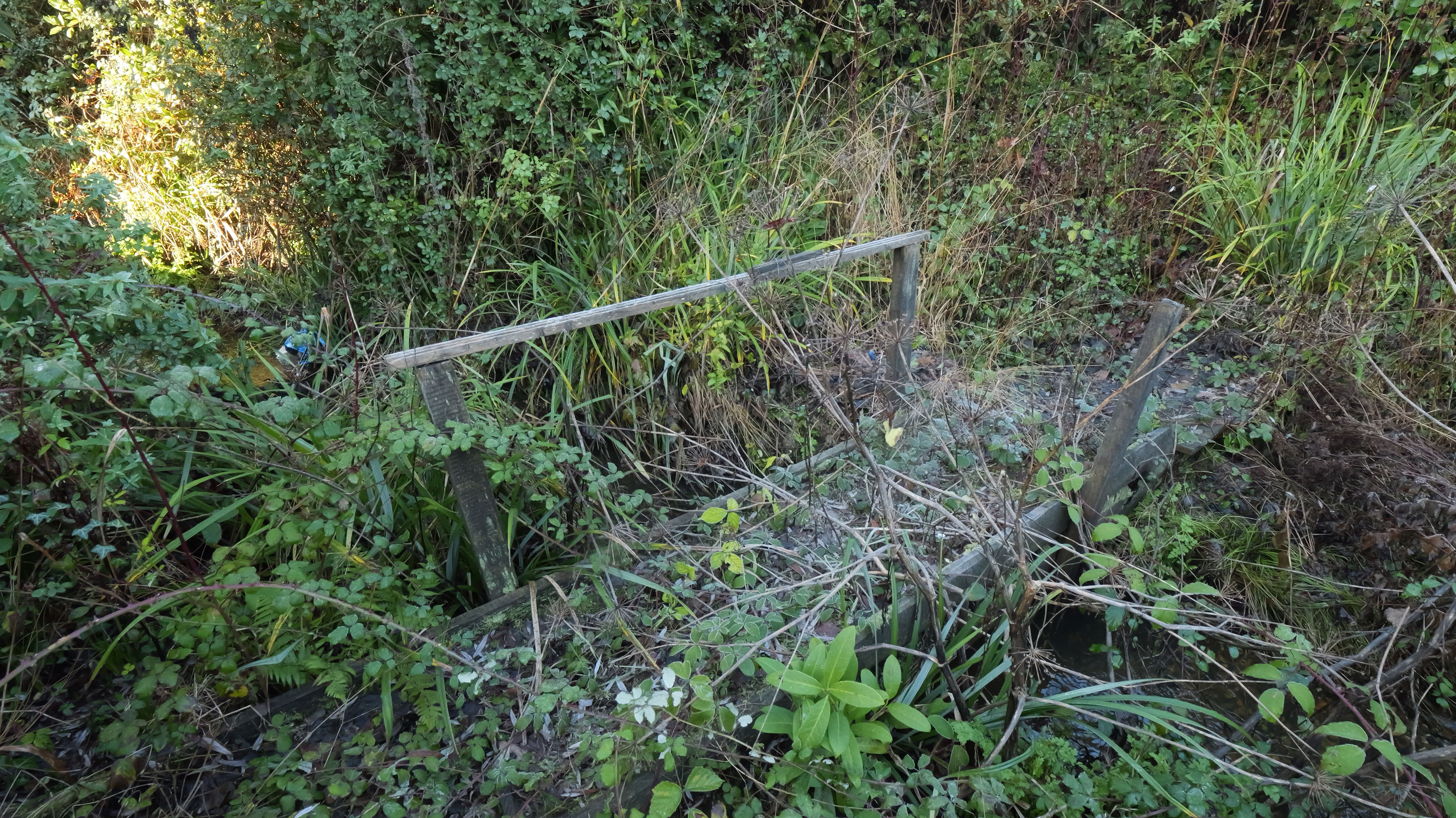 Man restores long-lost stream buried under debris