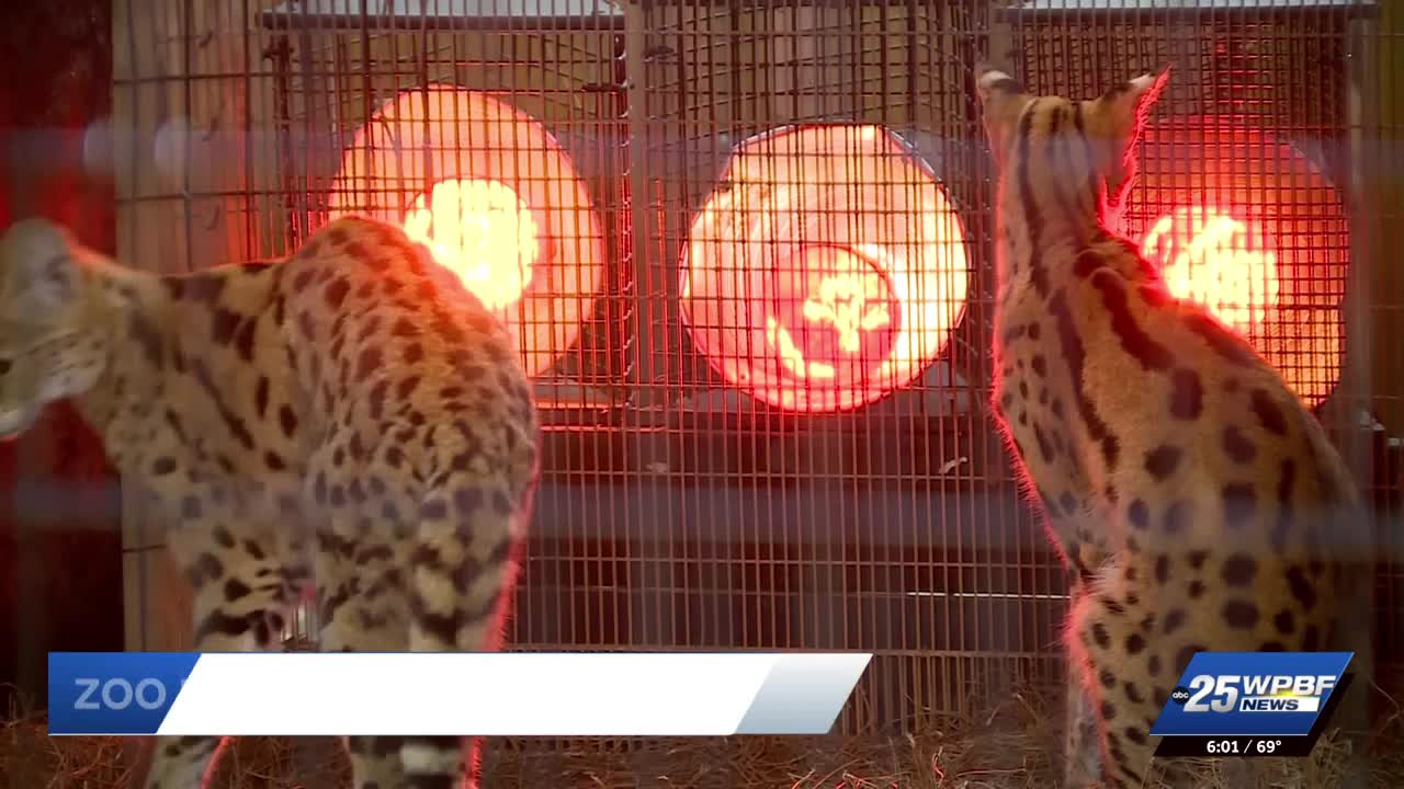 Zoo prepares for extreme cold