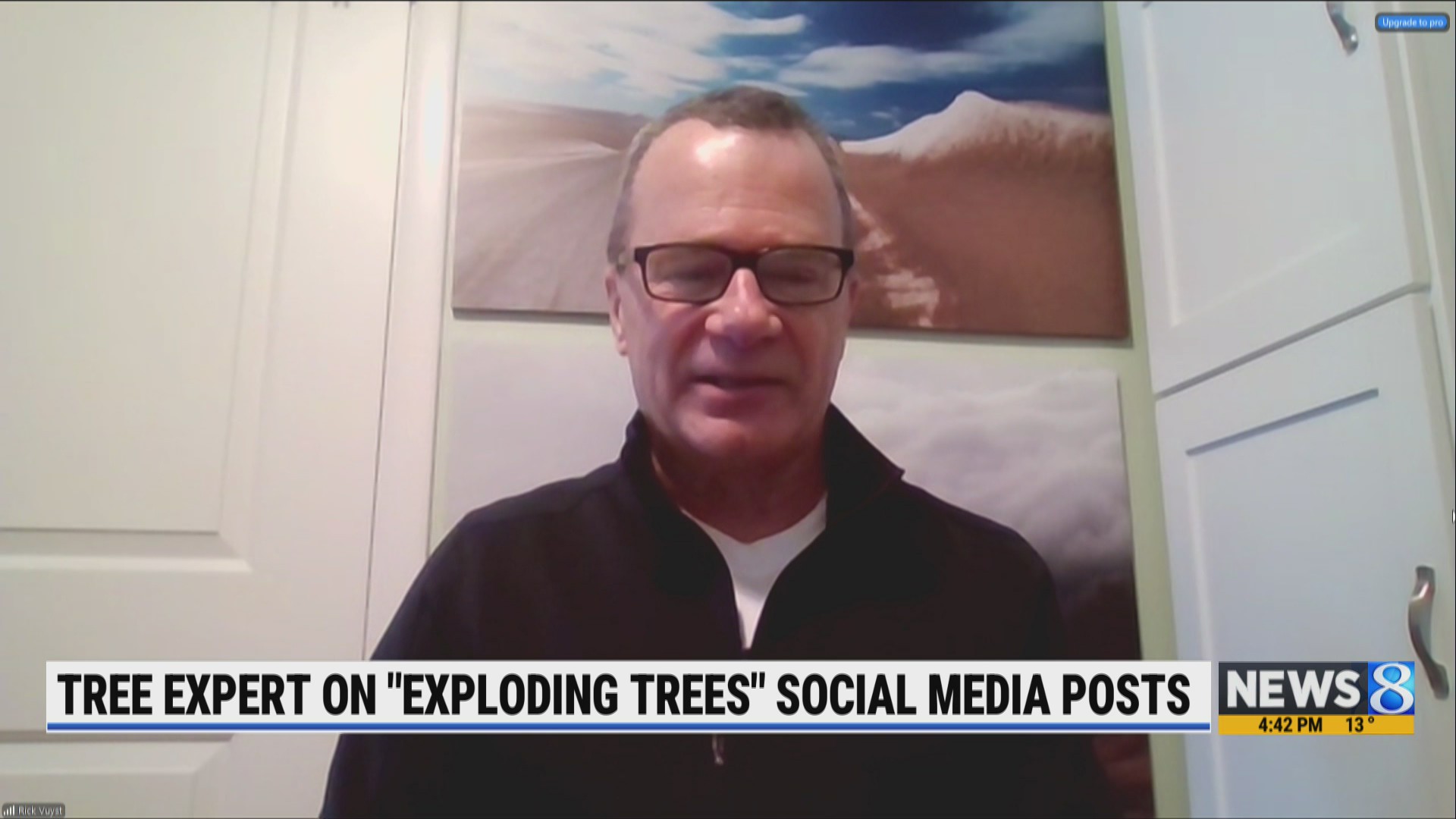 Are trees really exploding in West Michigan from cold weather?