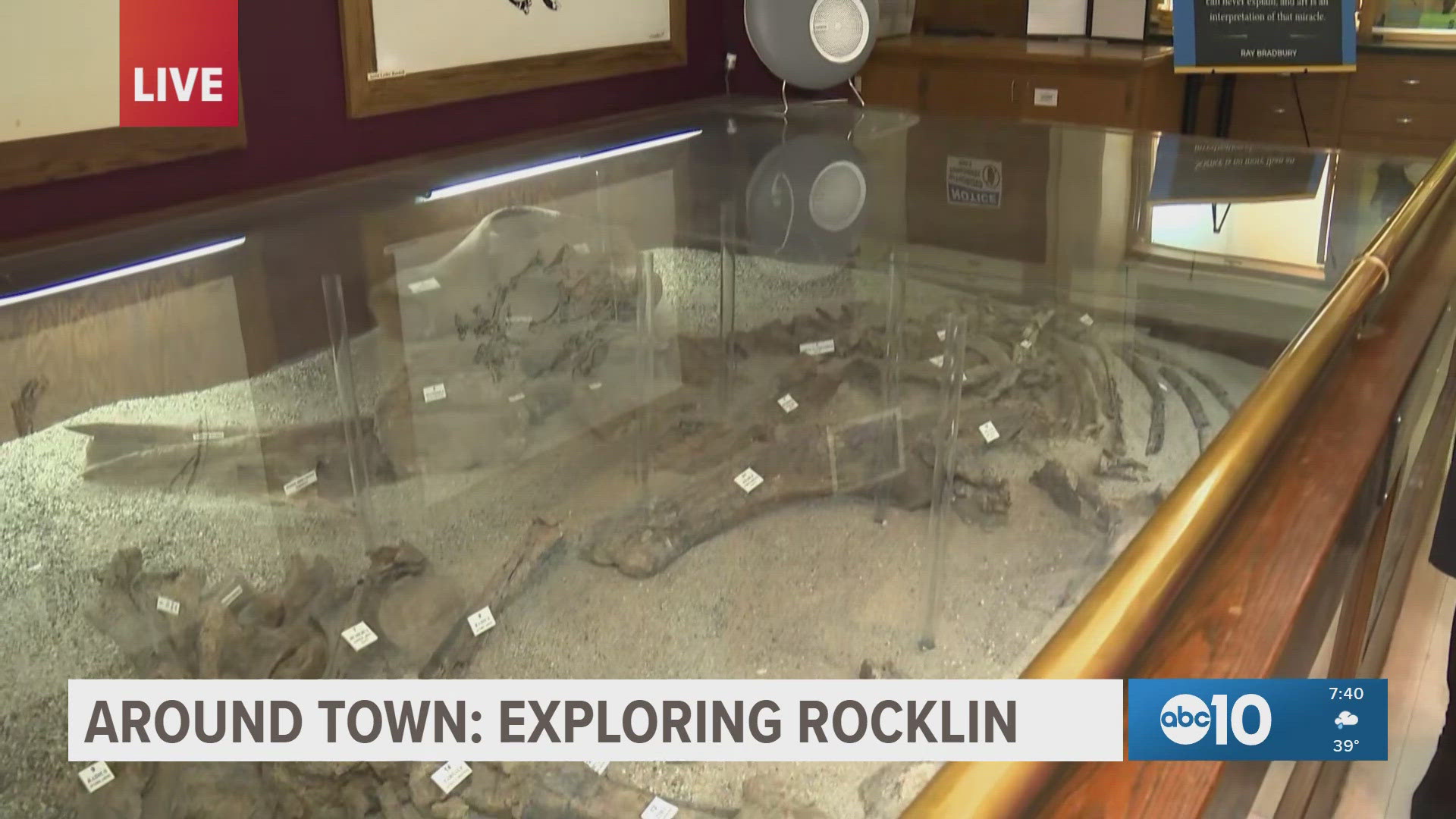 Sierra College Natural History Museum | Around town