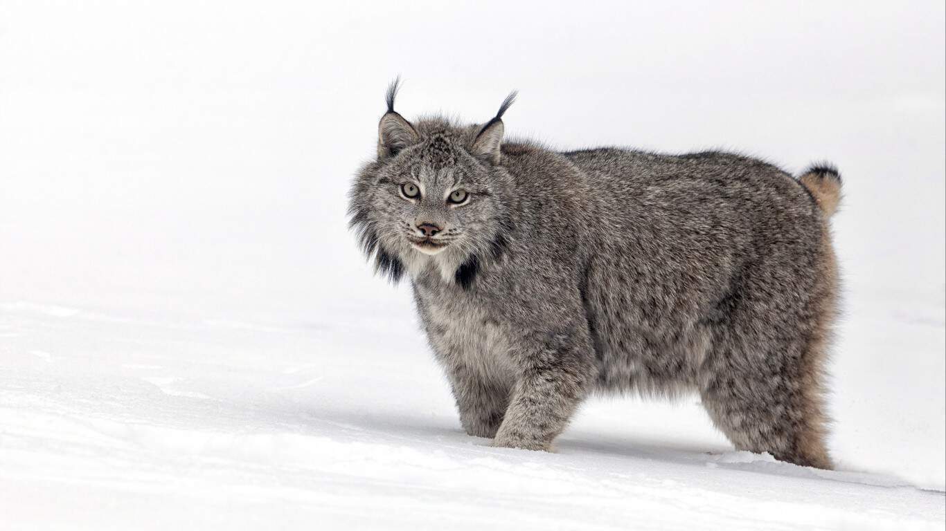 Your Alaska bucket list: Top sites to see today