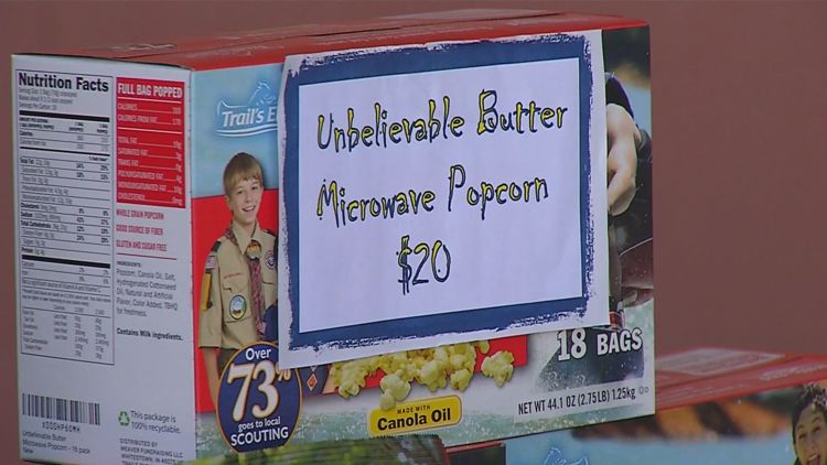 Longtime Whitehouse Boy Scout treasurer accused of stealing more than ...