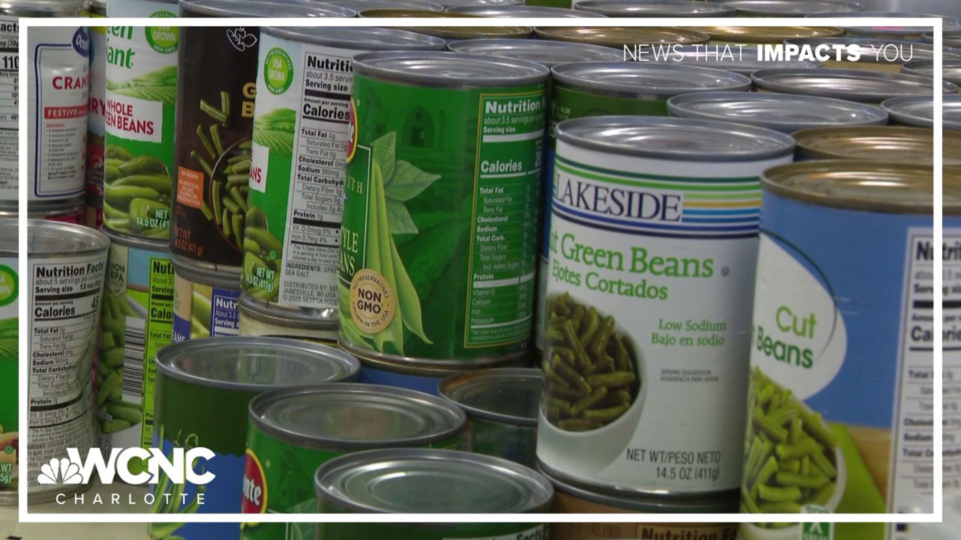 Scouting for food is back!