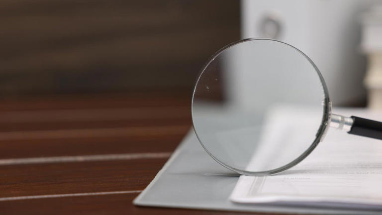 Minnesota agency investigating over 150 providers receiving funding ...