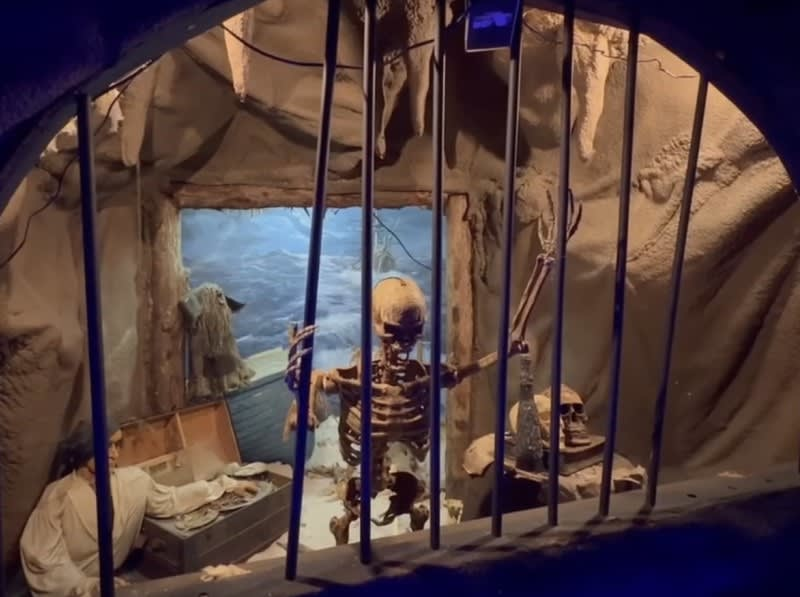 You've never seen a house like 'Florida Man's home'