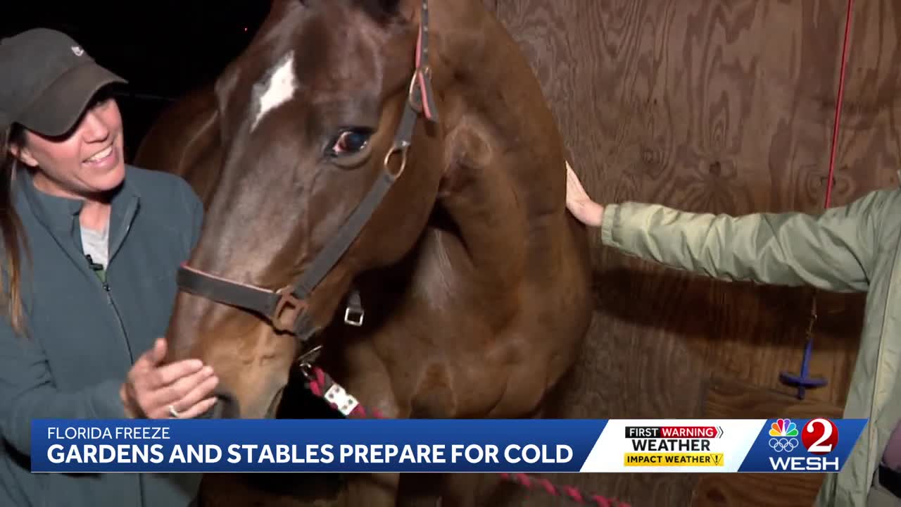 Gardens and stables prepare for extreme cold in Central Florida