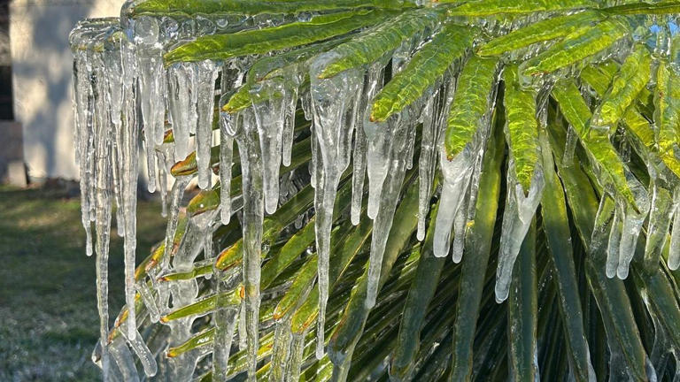 Northwest Florida residents advised to prep for extreme cold weather