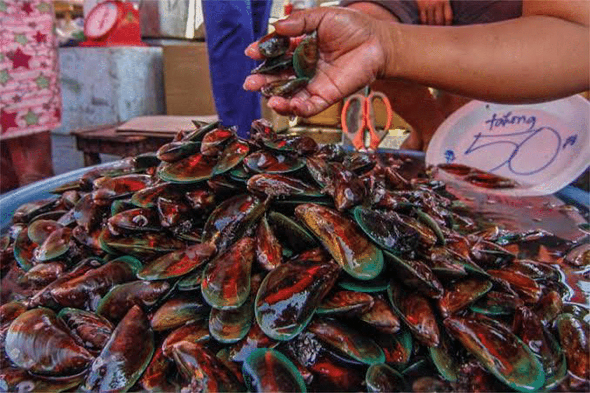 Shellfish ban stays in Matarinao Bay under red tide warning