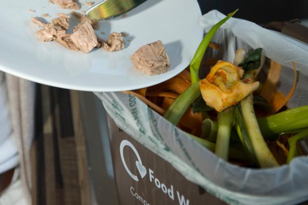 Somerset Council confirms changes to communal waste collections