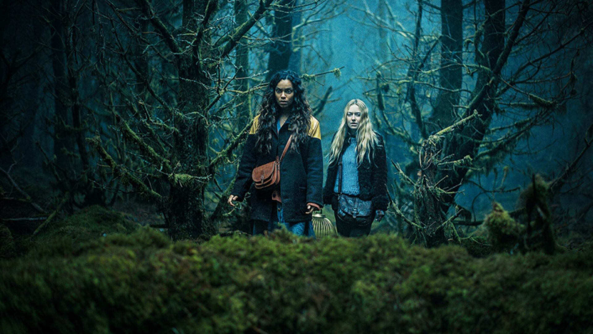 Netflix neemt binnenkort afscheid van de horrorfilm 'The Watchers'