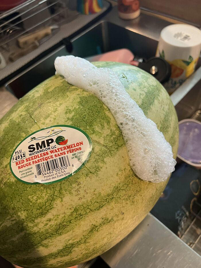 42 funny pics that people just had to take as they were utterly confused