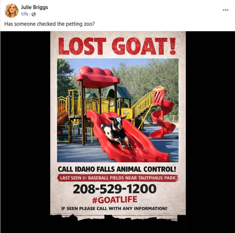Speedy goat on the lam in Idaho Falls has been captured