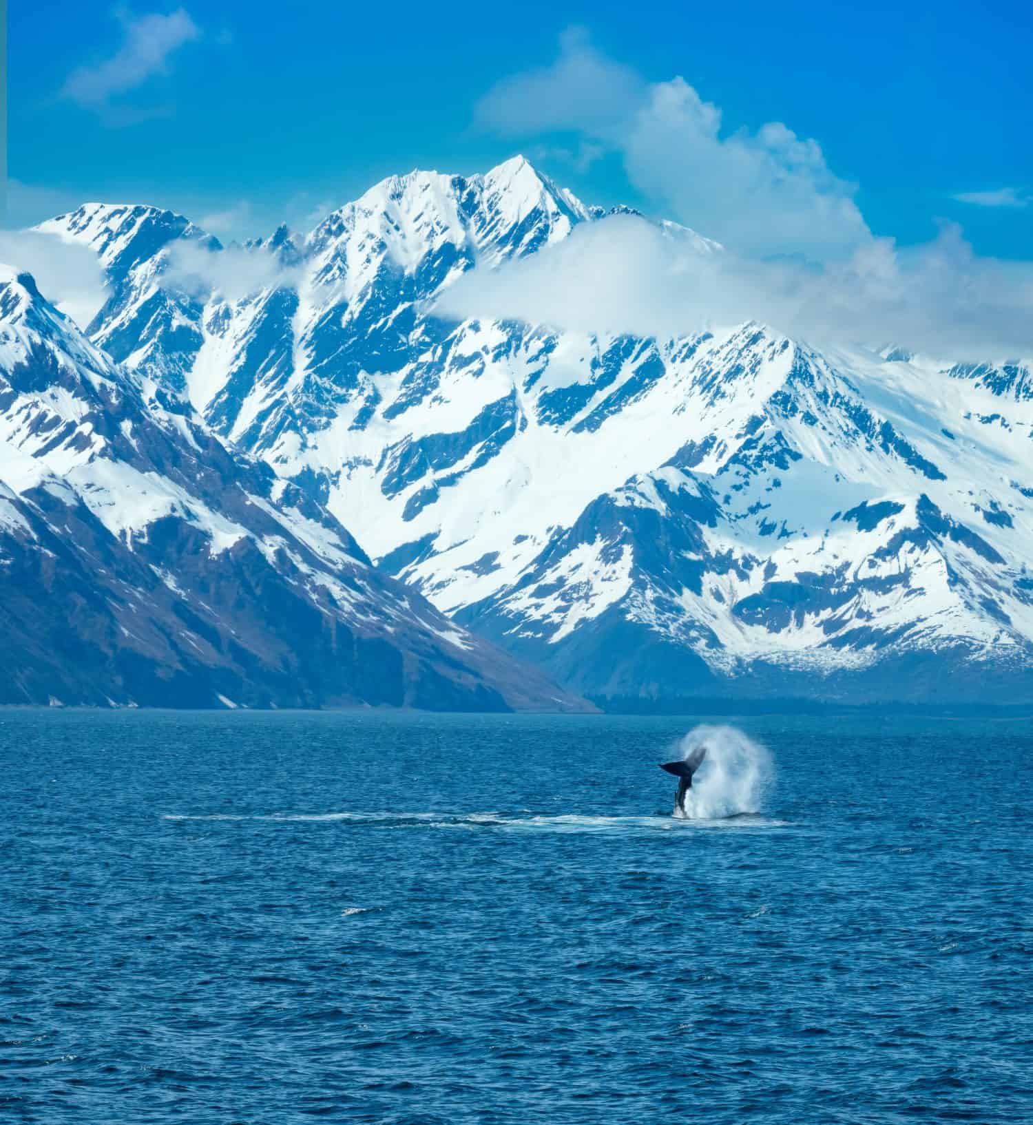 Your Alaska bucket list: Top sites to see today