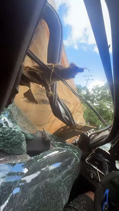 Motorista preso nas ferragens de BMW grava vídeo para amor após grave ...