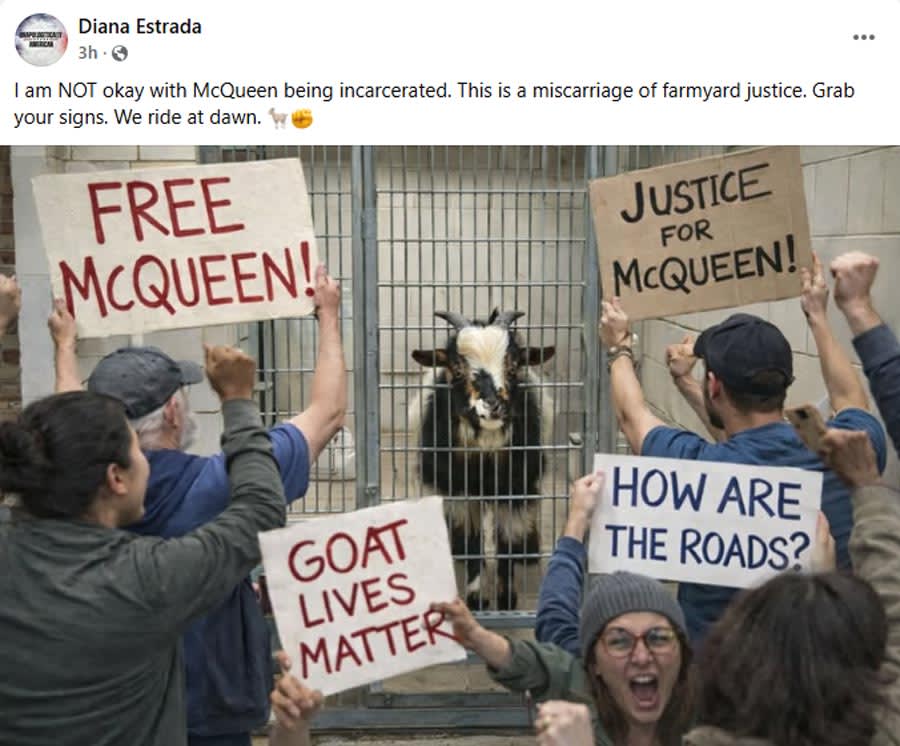 Speedy goat on the lam in Idaho Falls has been captured