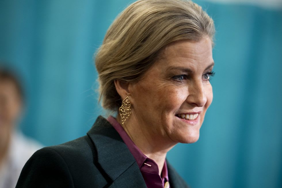 Sophie dons Victoria Beckham piece as she is spotted during rare joint ...