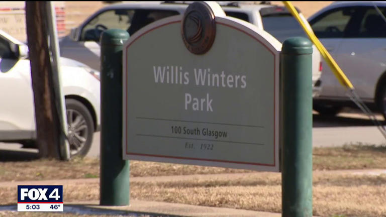 Dallas Parks and Rec committee raises concerns about local park after ...